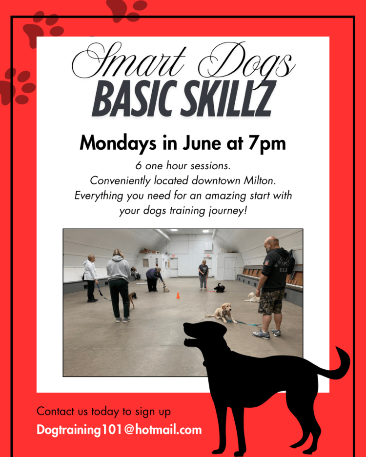 Dog Training Classes Milton – Smart Dogs Canine Training Milton